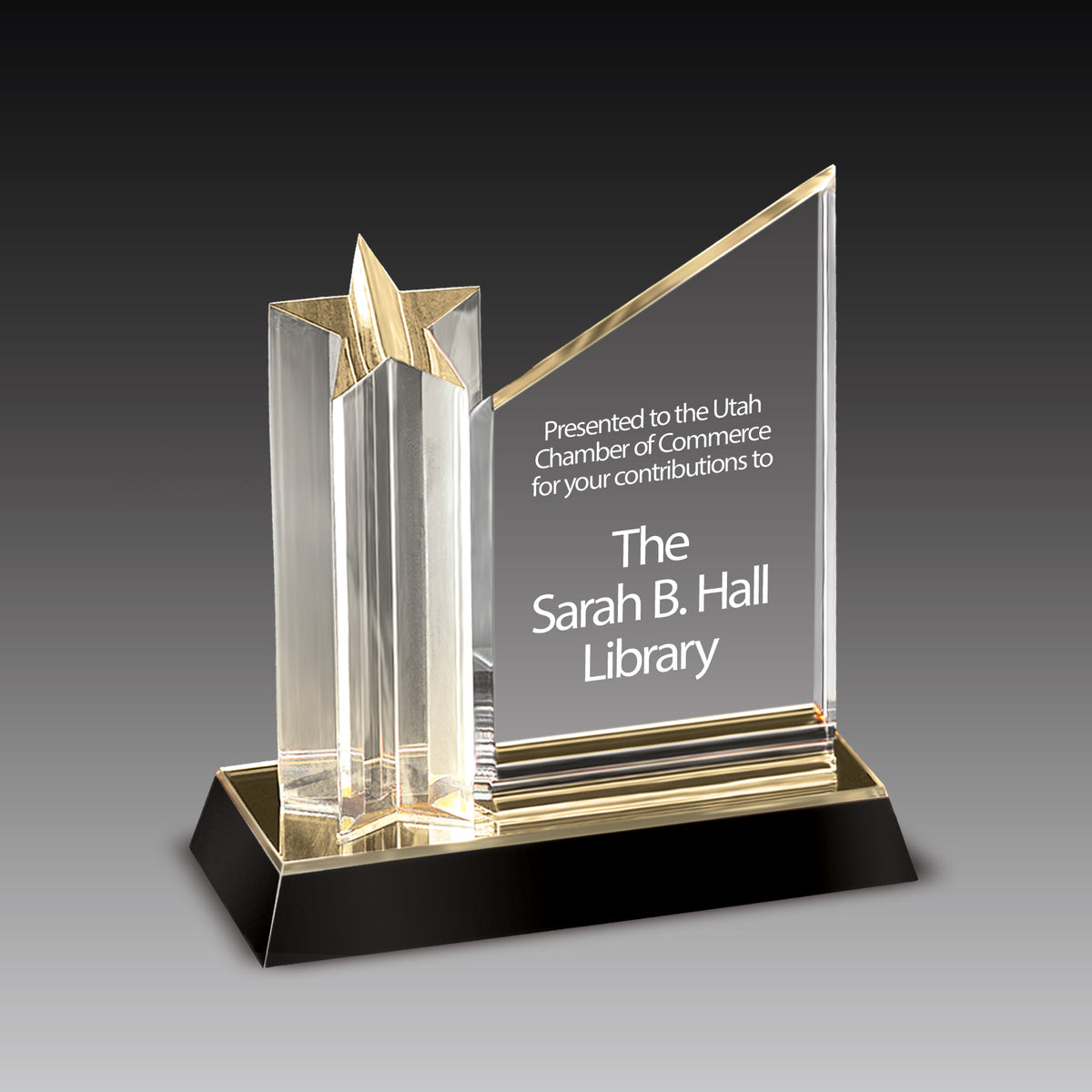 Star Achiever™ Award – AIF Awards